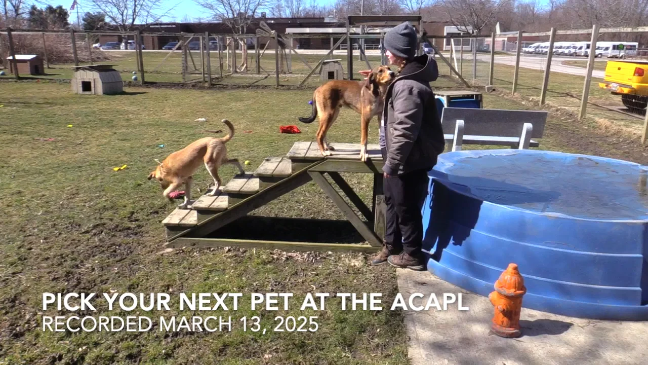 PICK YOUR NEXT PET MARCH 13, 2025 1