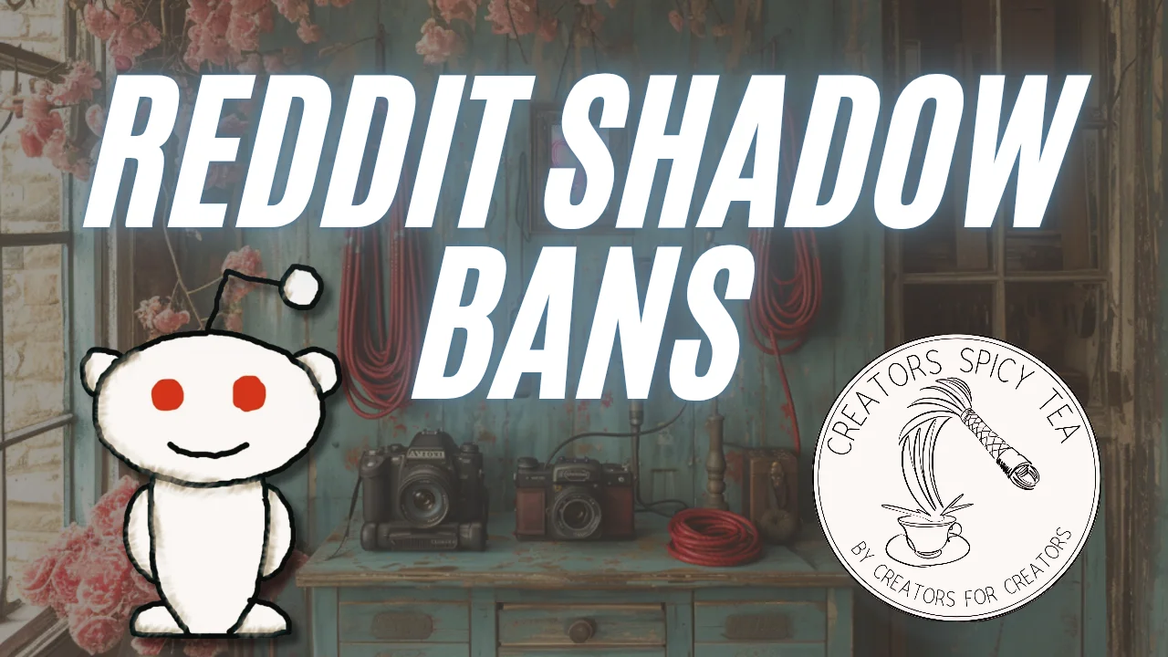 Shadow Bans on Reddit