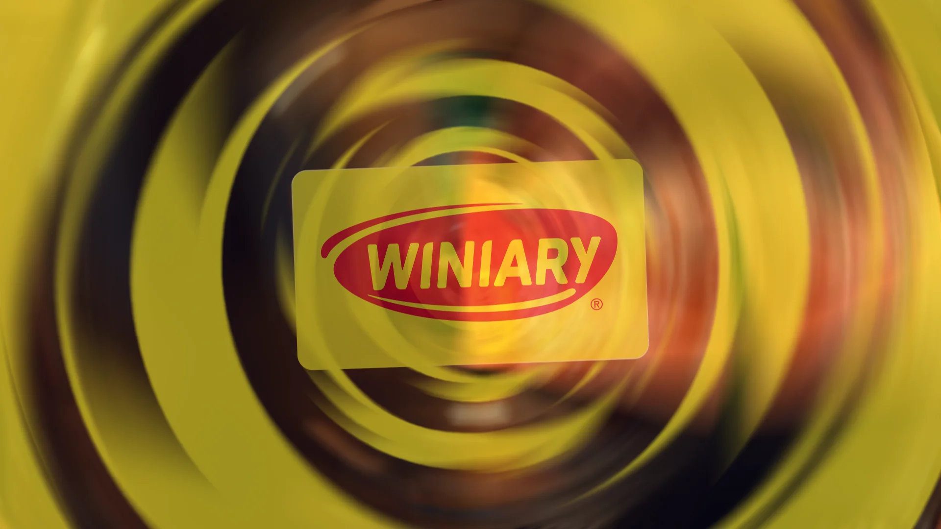 Nestle - Maggi / Winiary. Kebab doner