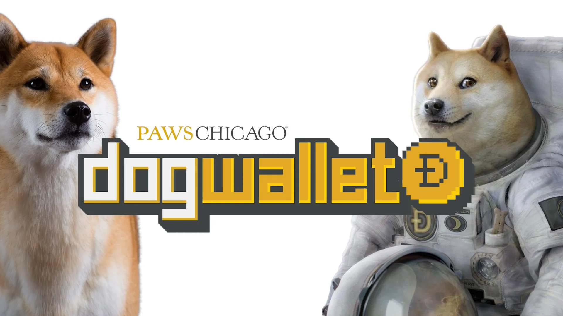 PAWS_Doge For Dogs_CaseStudy