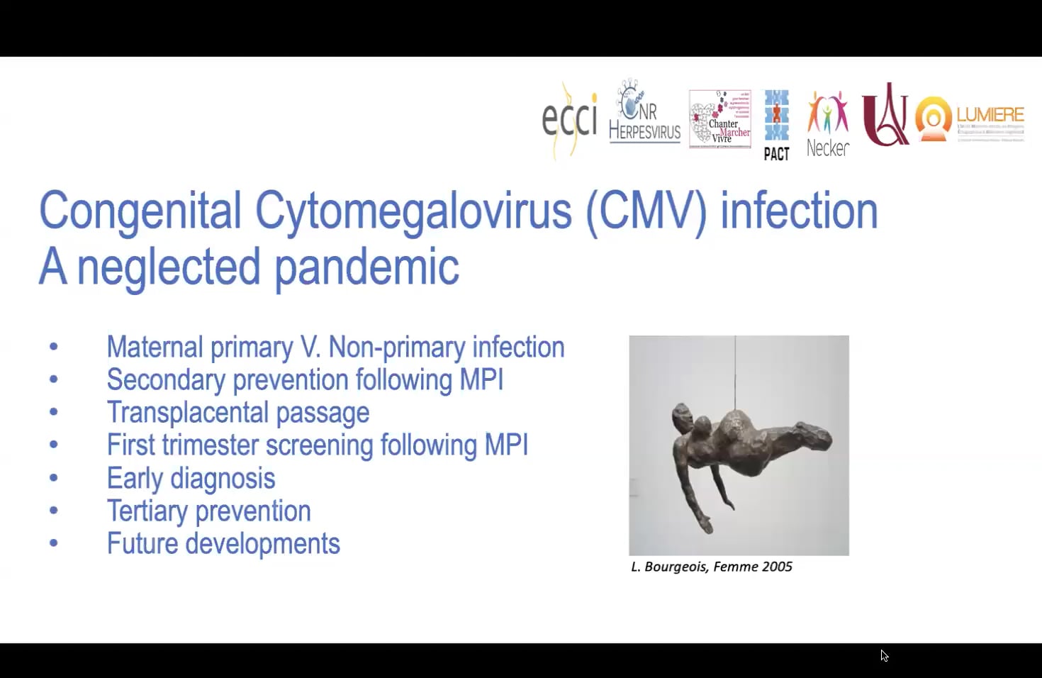 Congenital CMV infection by Yves Ville