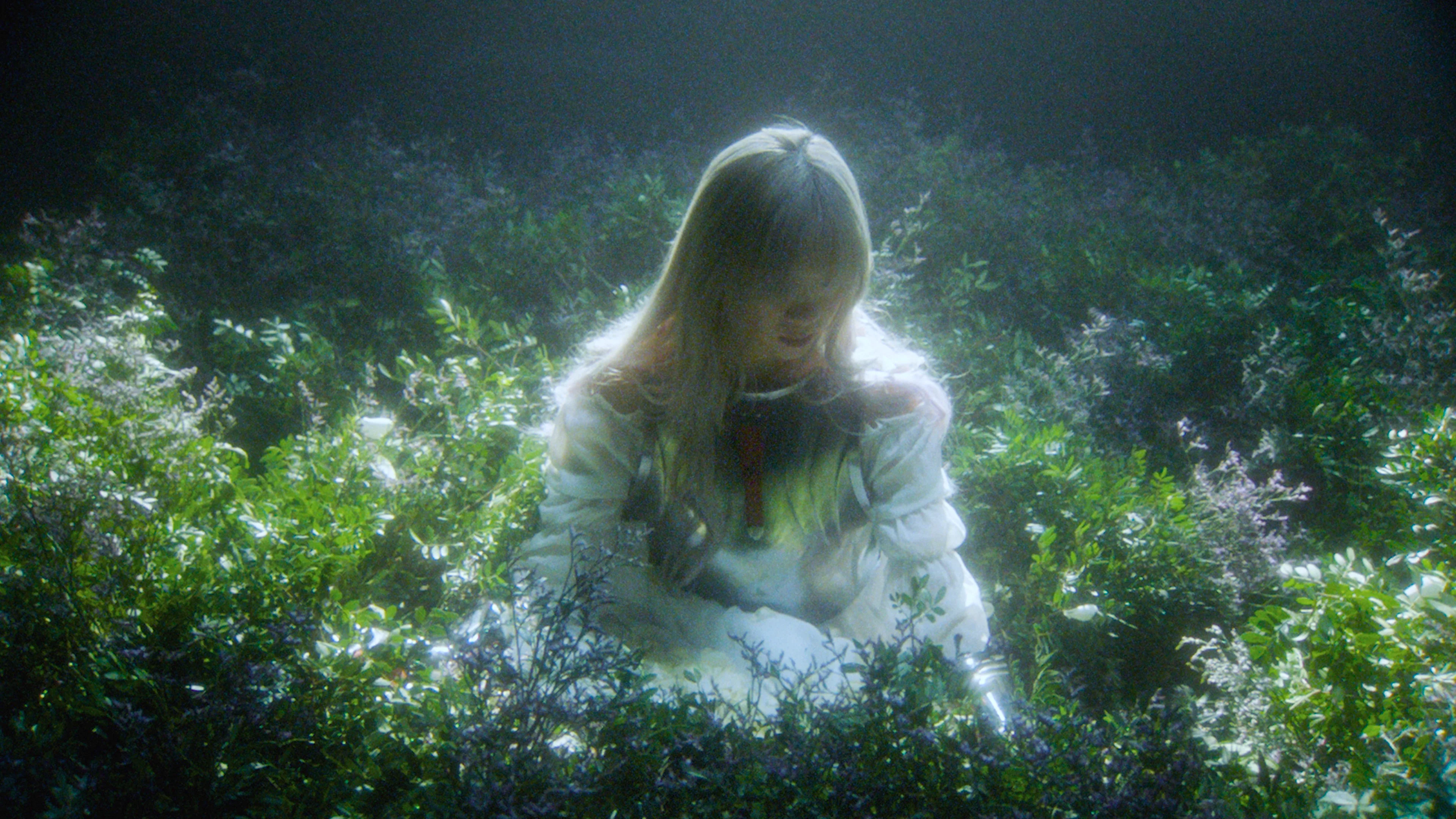 Wisp - Sword / Music Video