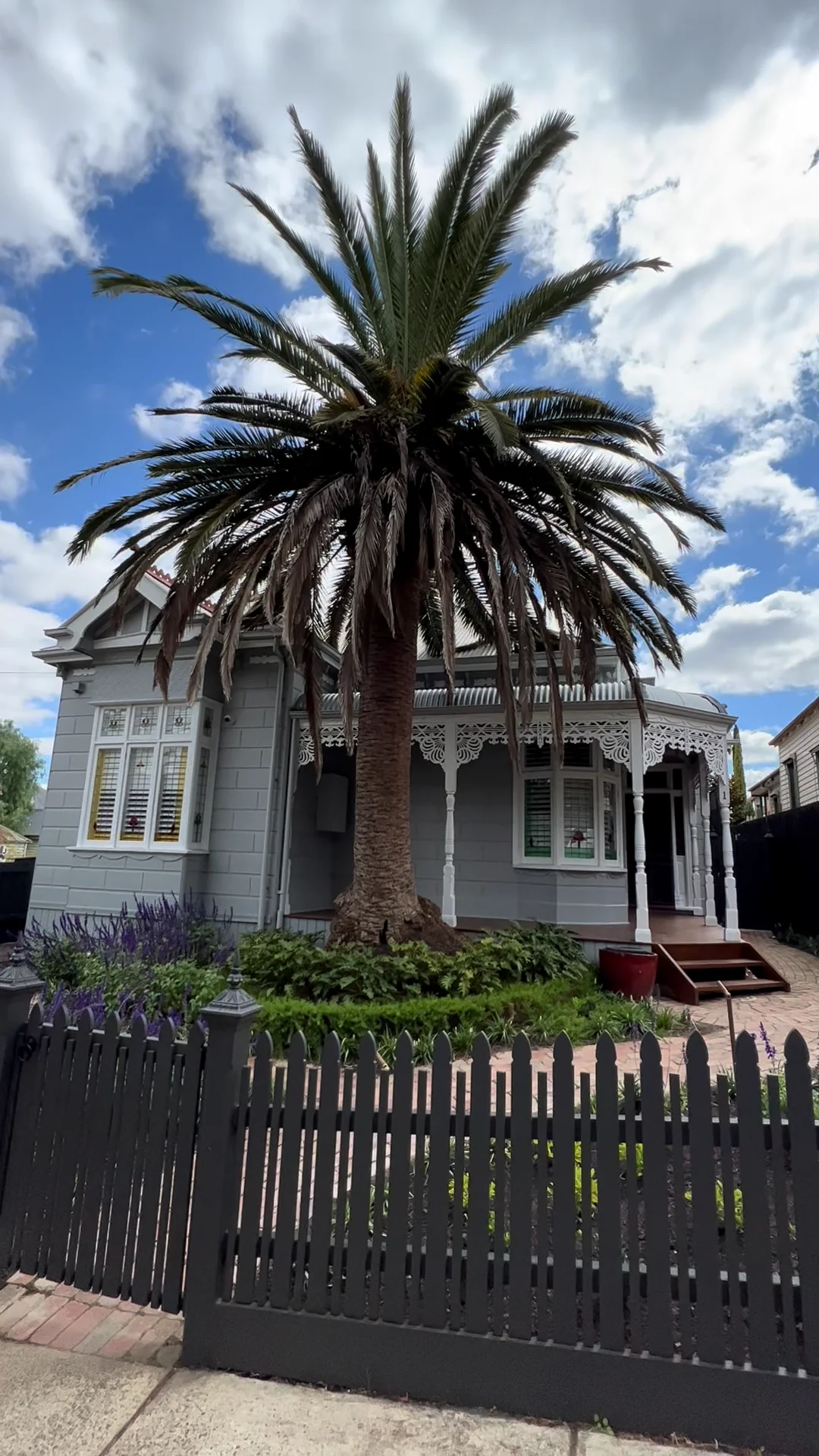 Hawthorn Rd walk through