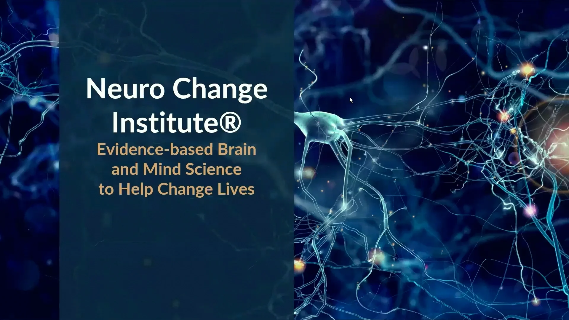 Neuro Change Institute Overview - March 2025 Ver 2