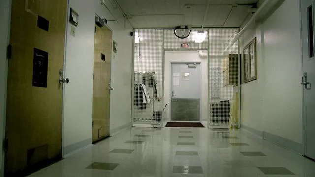 Watch Guilty Except for Insanity Online | Vimeo On Demand on Vimeo