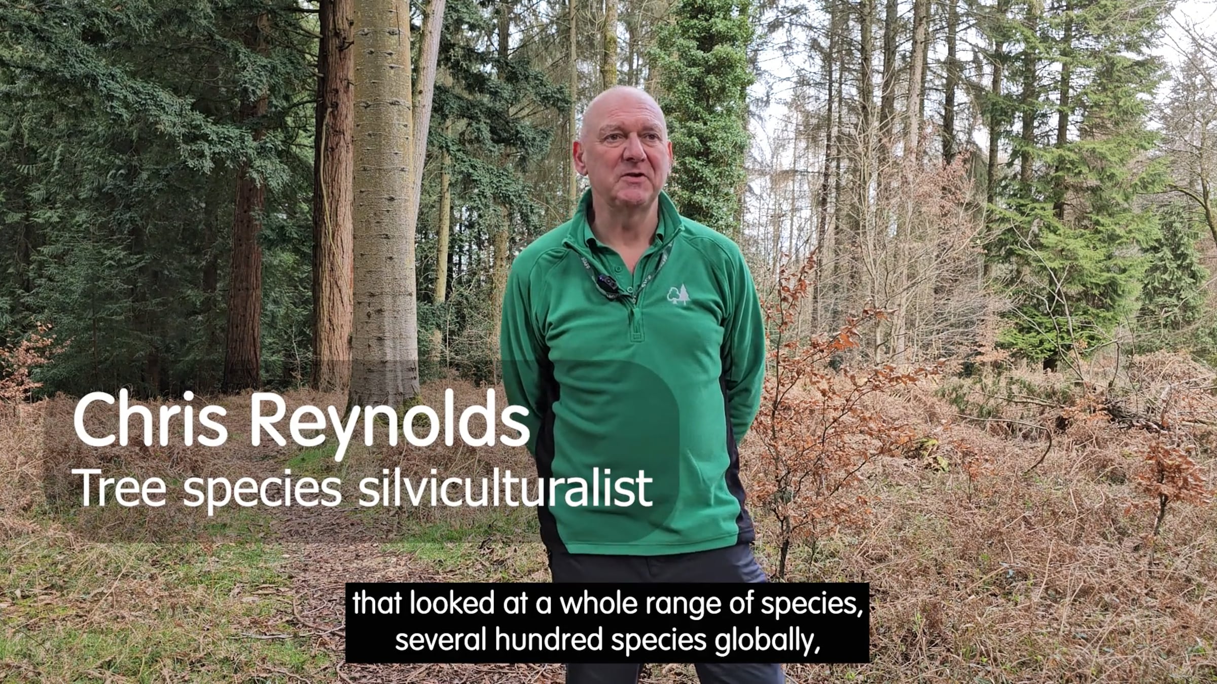 Nature.com scientific paper on tree carbon capture