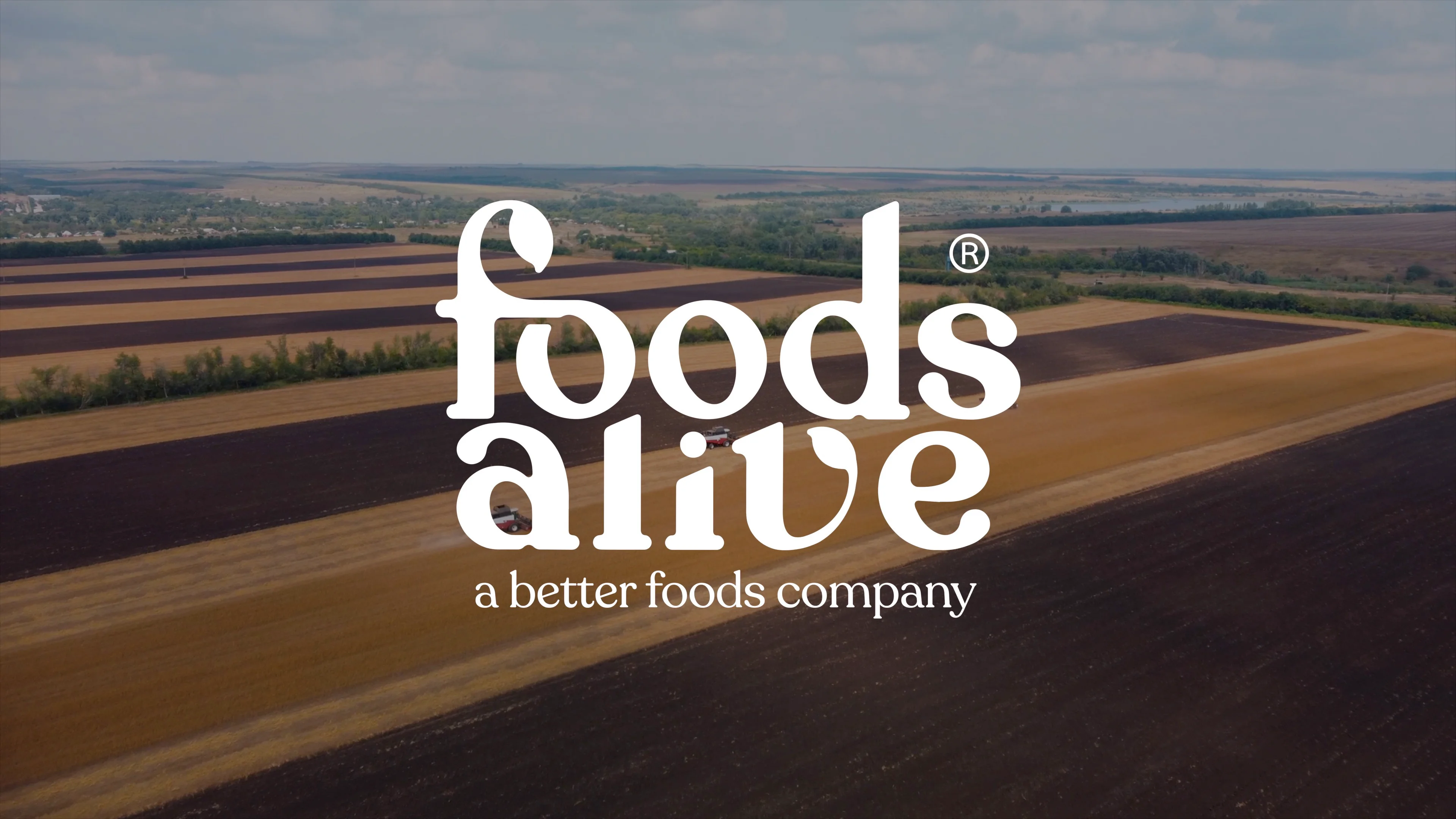 Foods Alive: A Better Foods Company