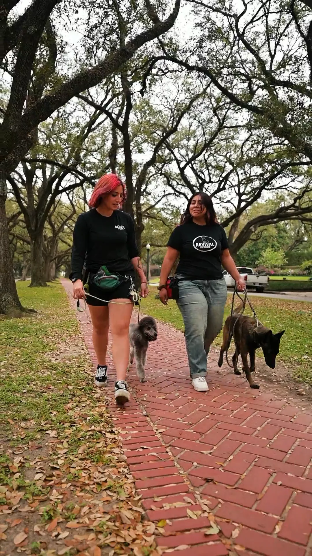 A well rounded dog is our top priority