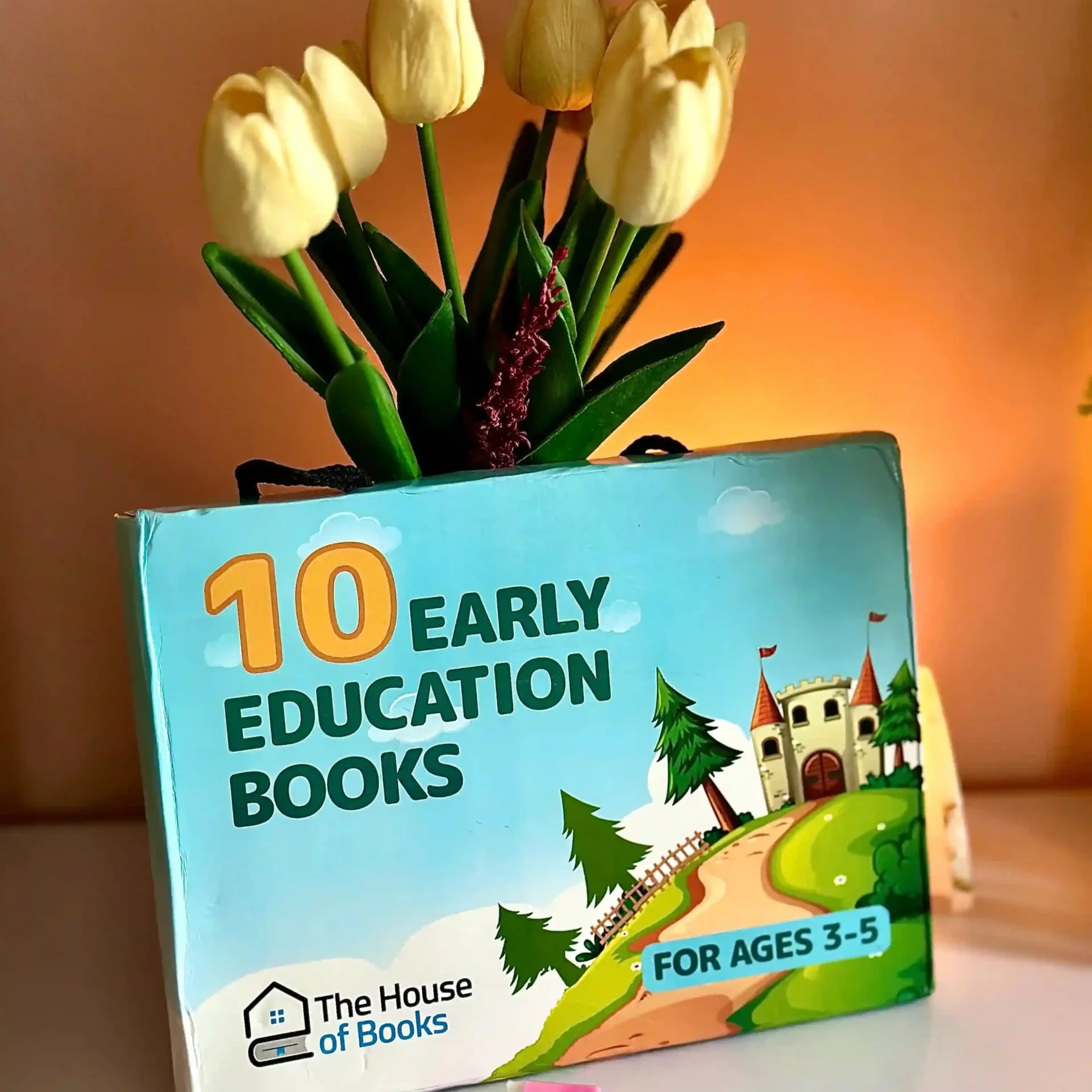 House Of Books
