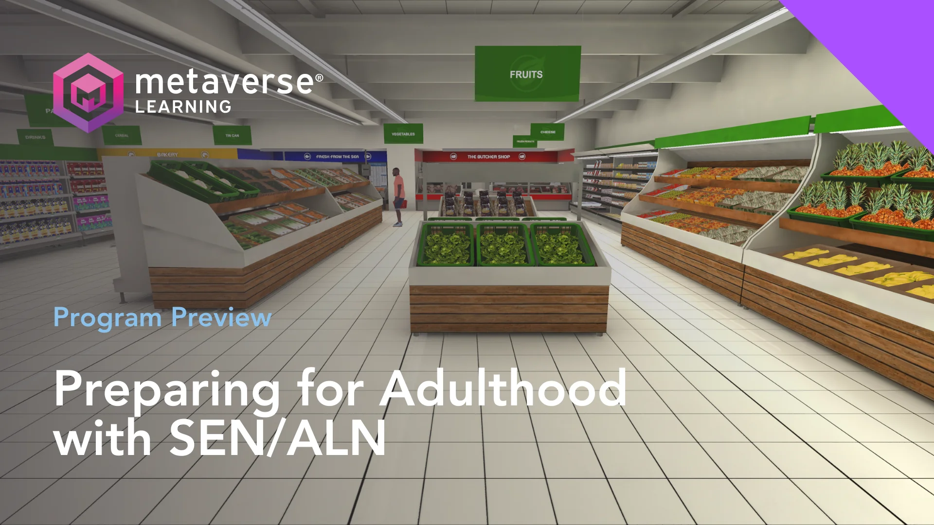 Preparing for Adulthood with SEN/ALN program preview