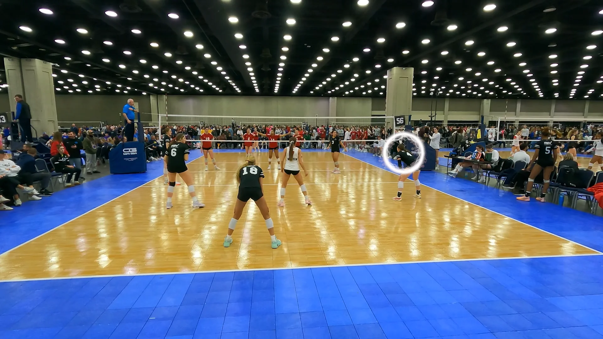 Rose Mahin Part 2 2025 Bluegrass Highlights