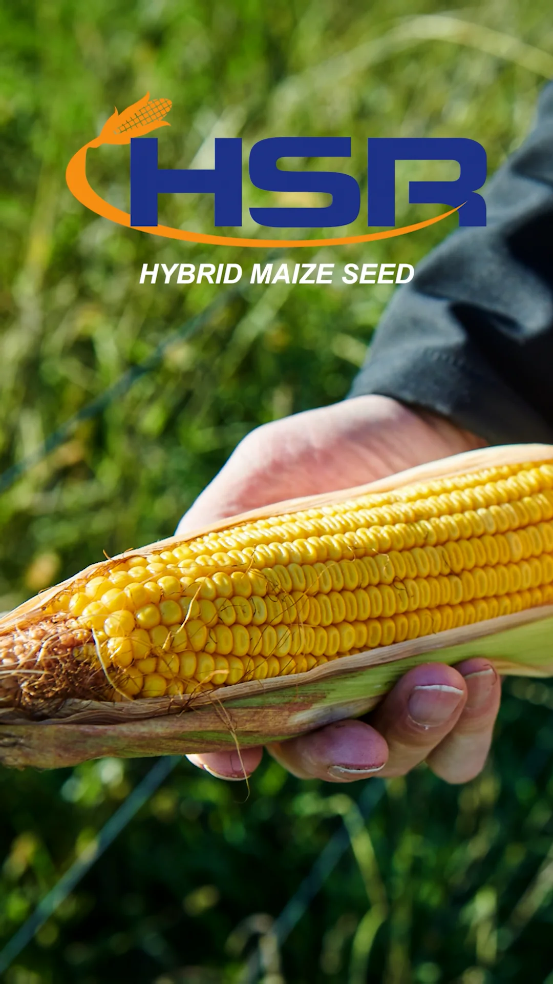 HSR_AD THREE_9-16-20secs