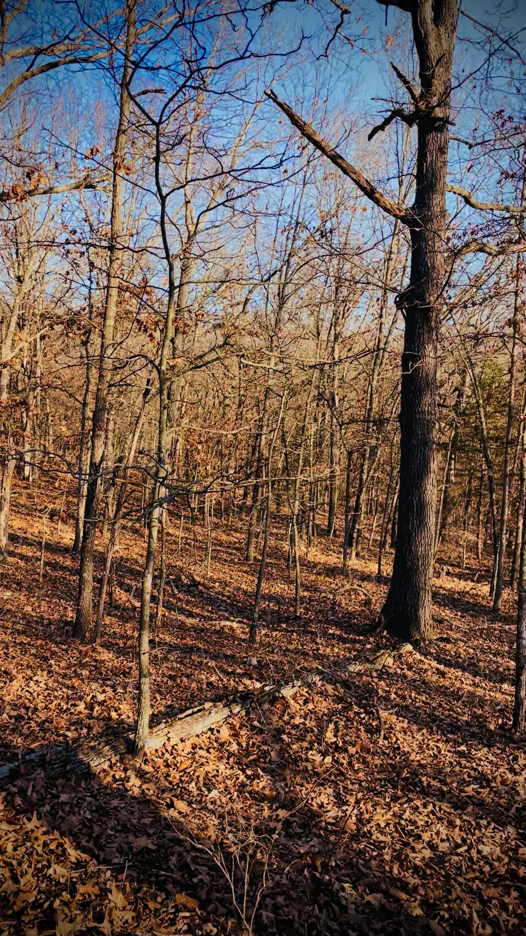 16-7.1-25-000-002-010.000 - Forbes Lake Of The Ozarks Park, Benton, County