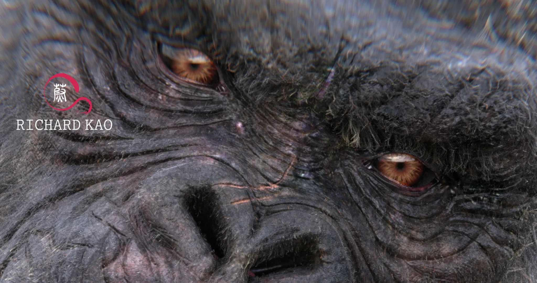 Houdini Iris tool update - Yu Wei(Richard) Kao