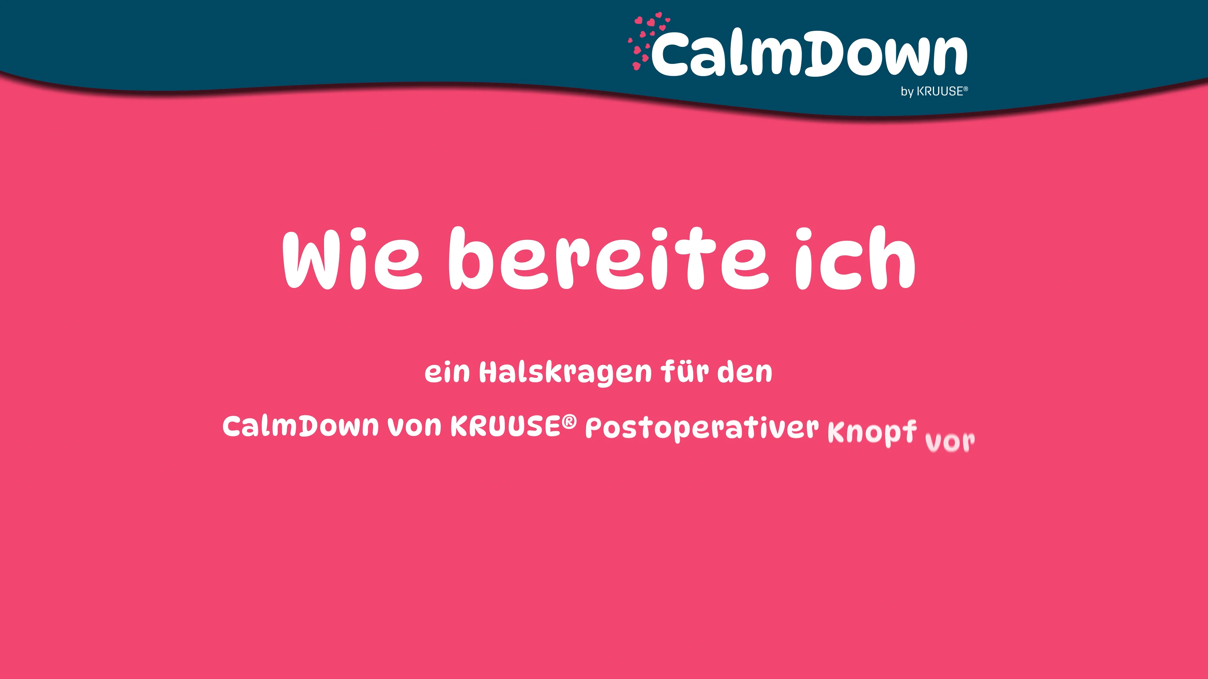 CalmDown by KRUUSE® So bereiten Sie ein Halskragen für den CalmDown by KRUUSE® Postoperativer ...