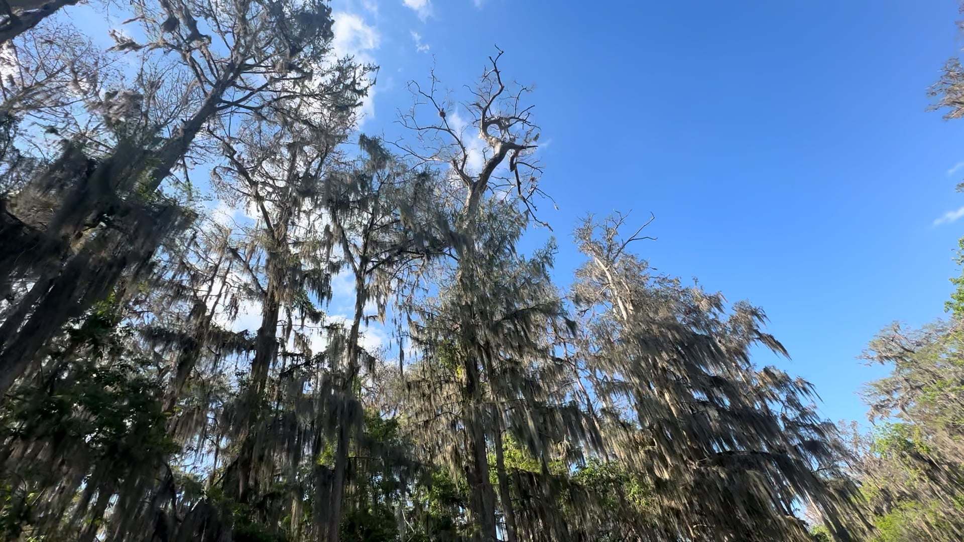 FL Beaver Homes