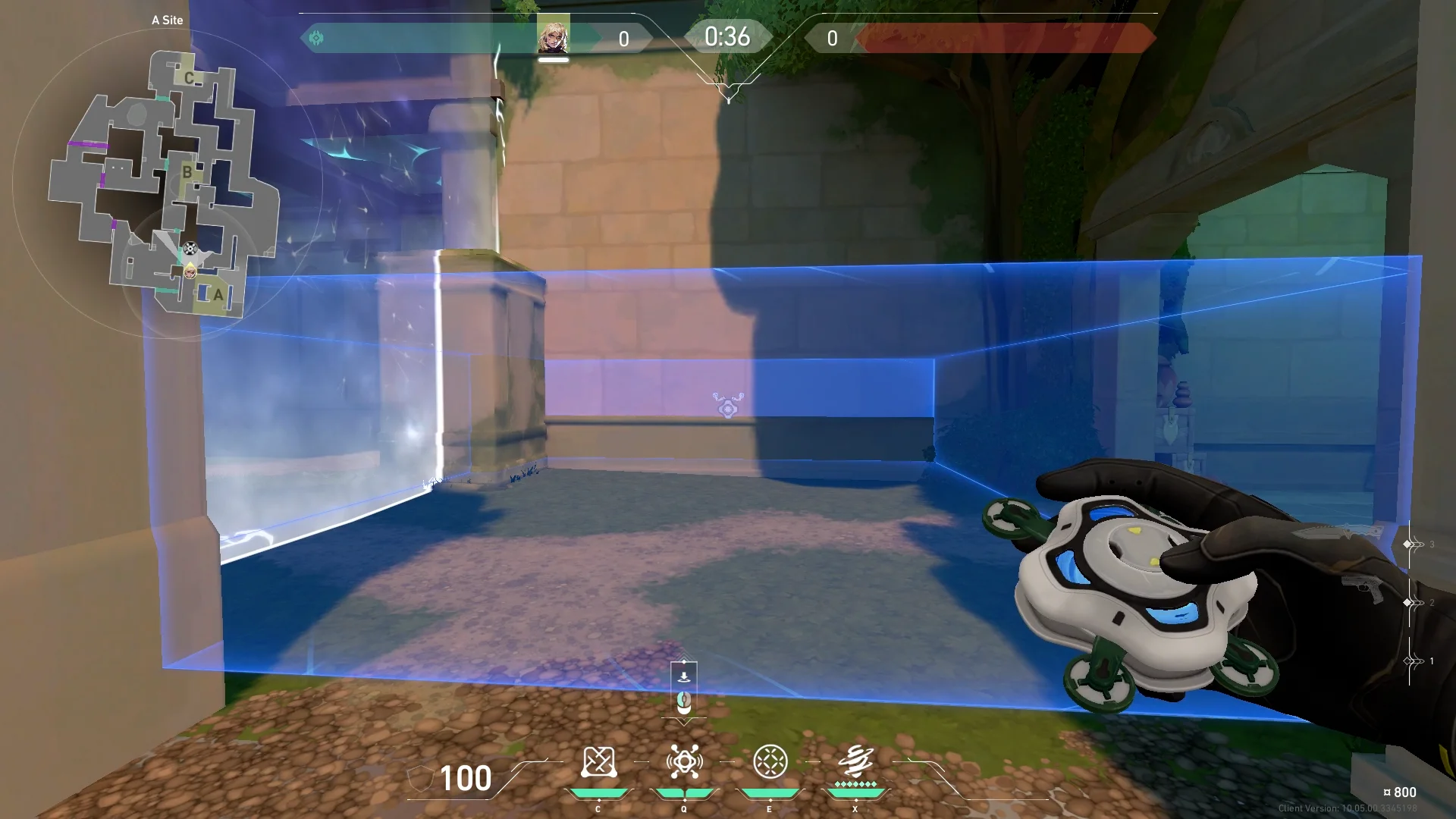 Trap anti rush A site