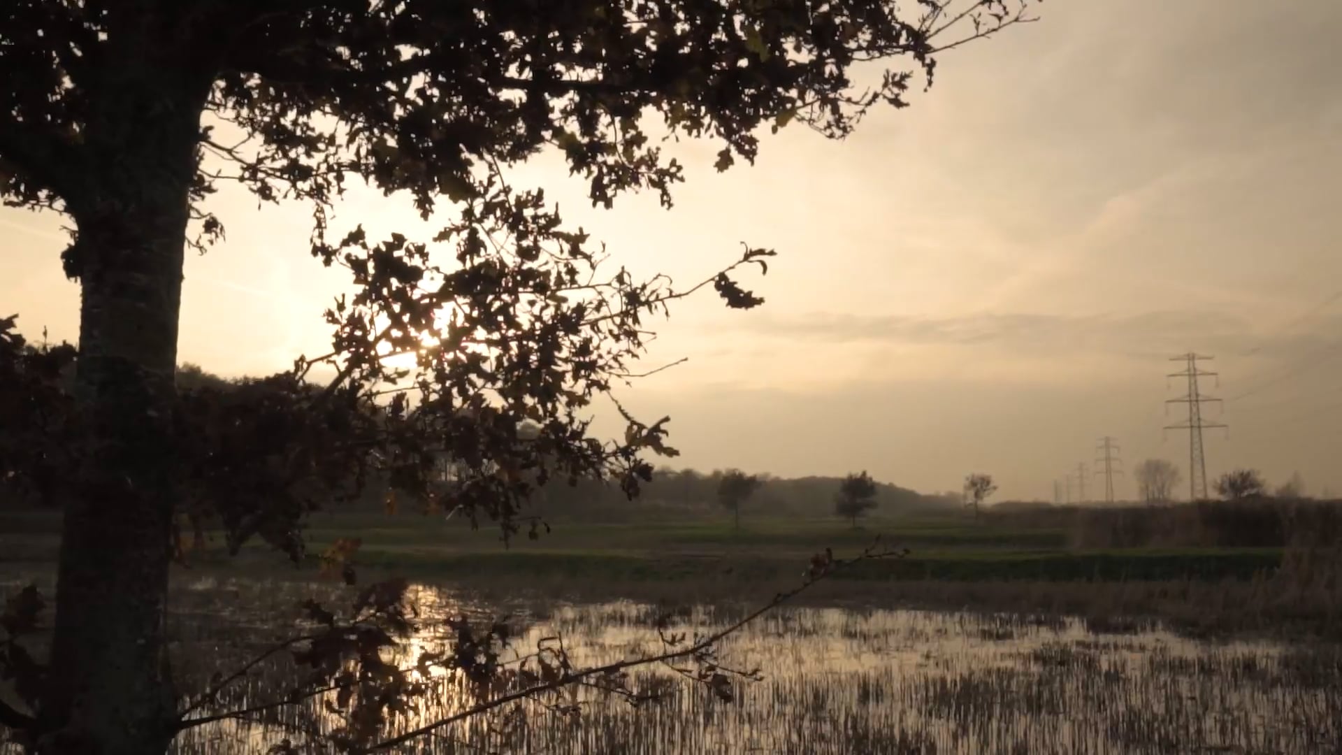 Liberty Energy Power