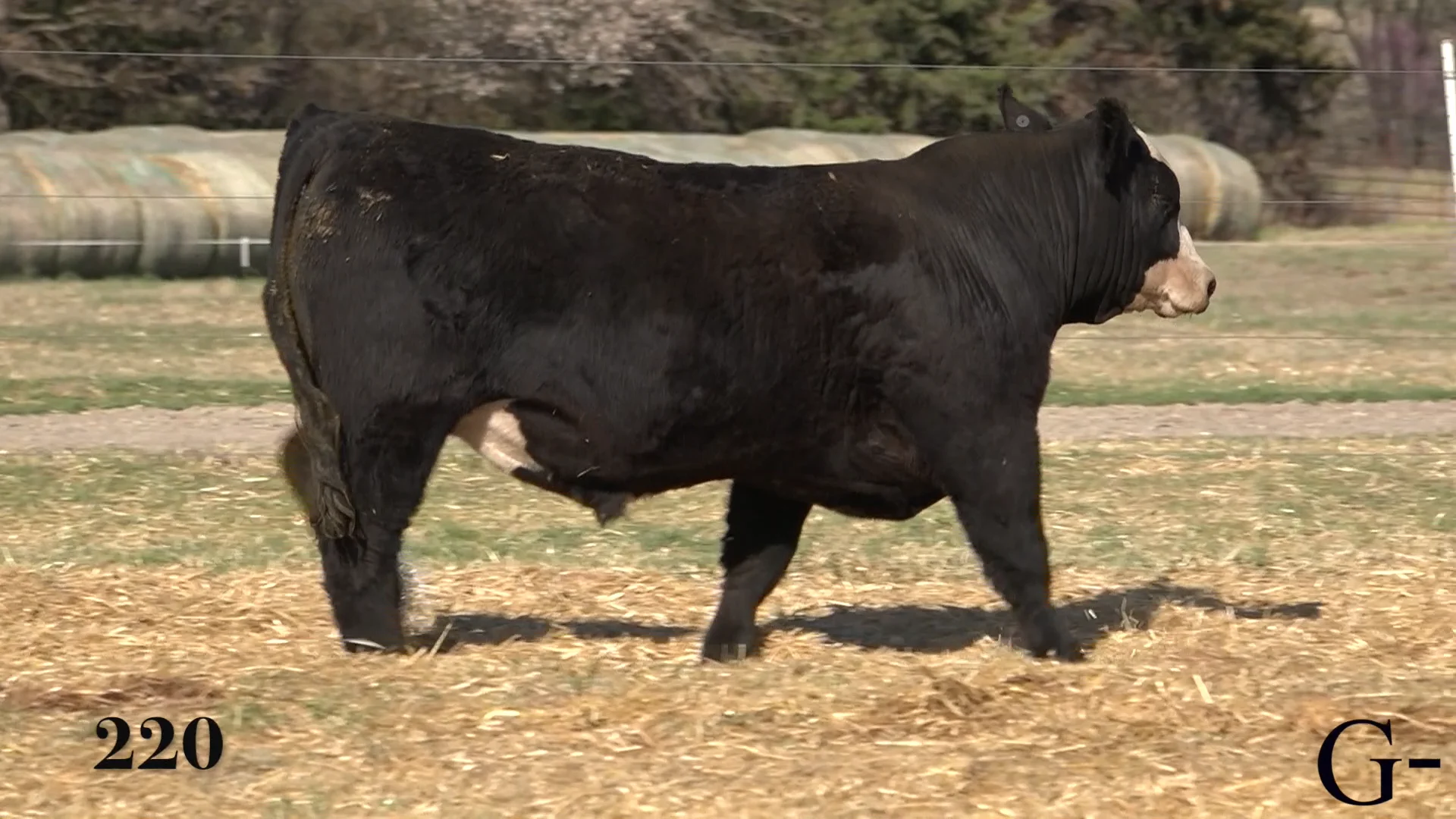 220