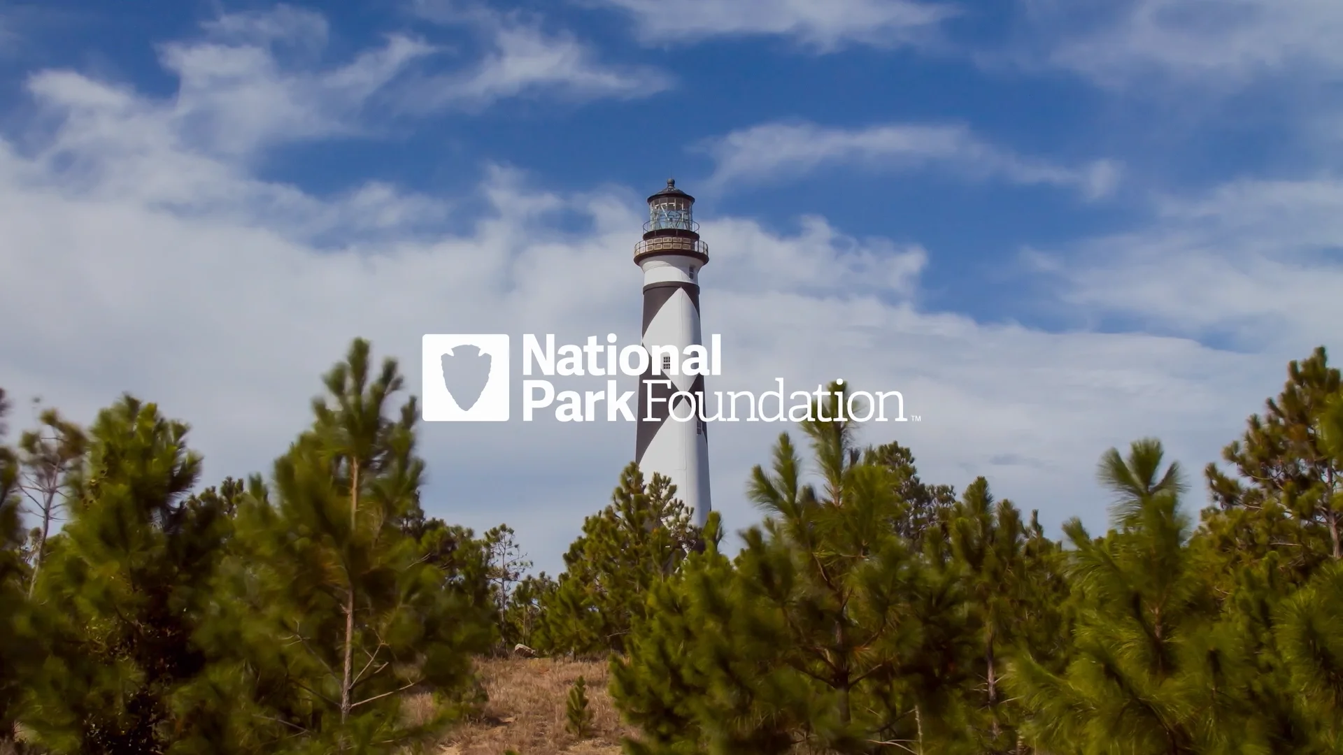 National Park Foundation x SunOutdoors || Junior Ranger Angler || Ebony ...