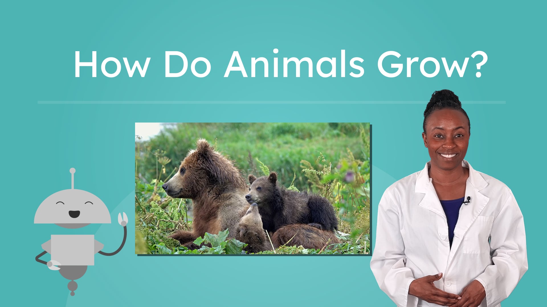 How Do Animals Grow?