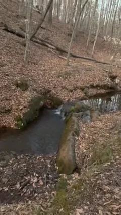 Wednesday, March 26 2025 - Morning Devotion with Pastor Chip