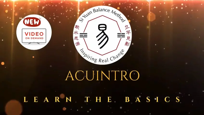 Watch AcuIntro: The Balance Method Starter Guide Online | Vimeo On ...