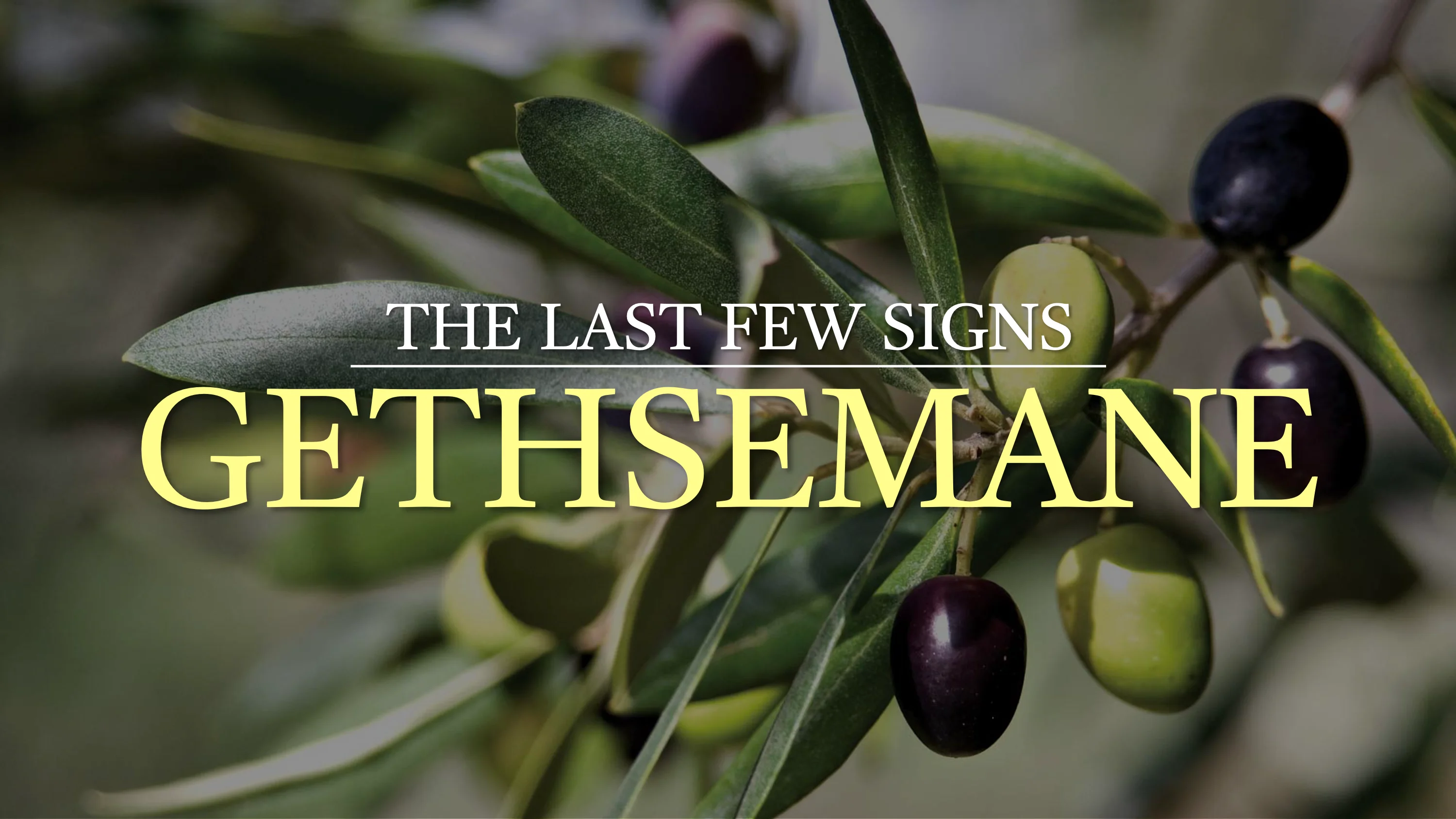 The Last Few Signs: Gethsemane