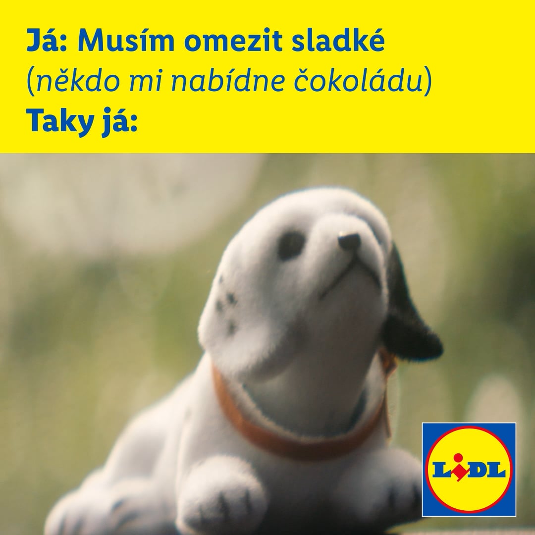 Lidl_jednoduse_meme_2
