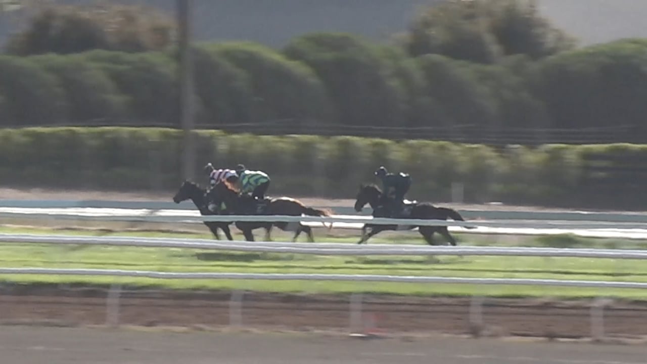 27/03/2025 Strathalbyn • Racing SA