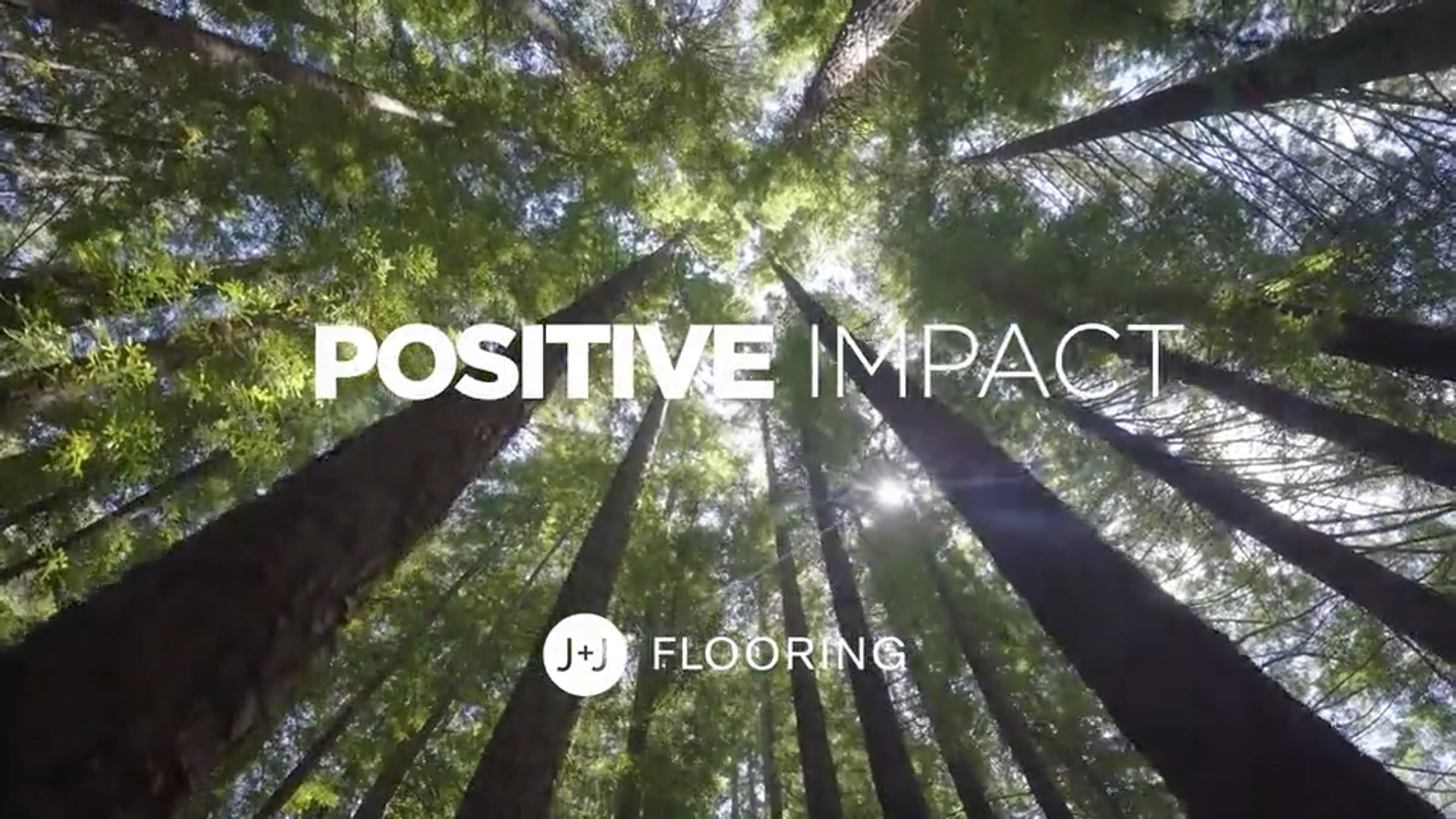 Positive Impact