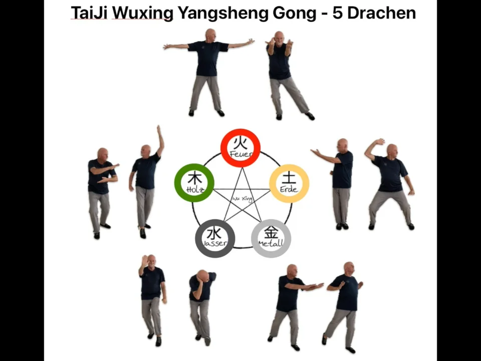 5_Drachen_Taiji_WuXing_YSG