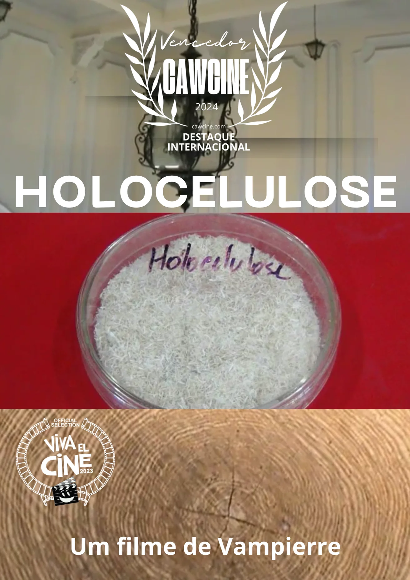 Holocelulosa
