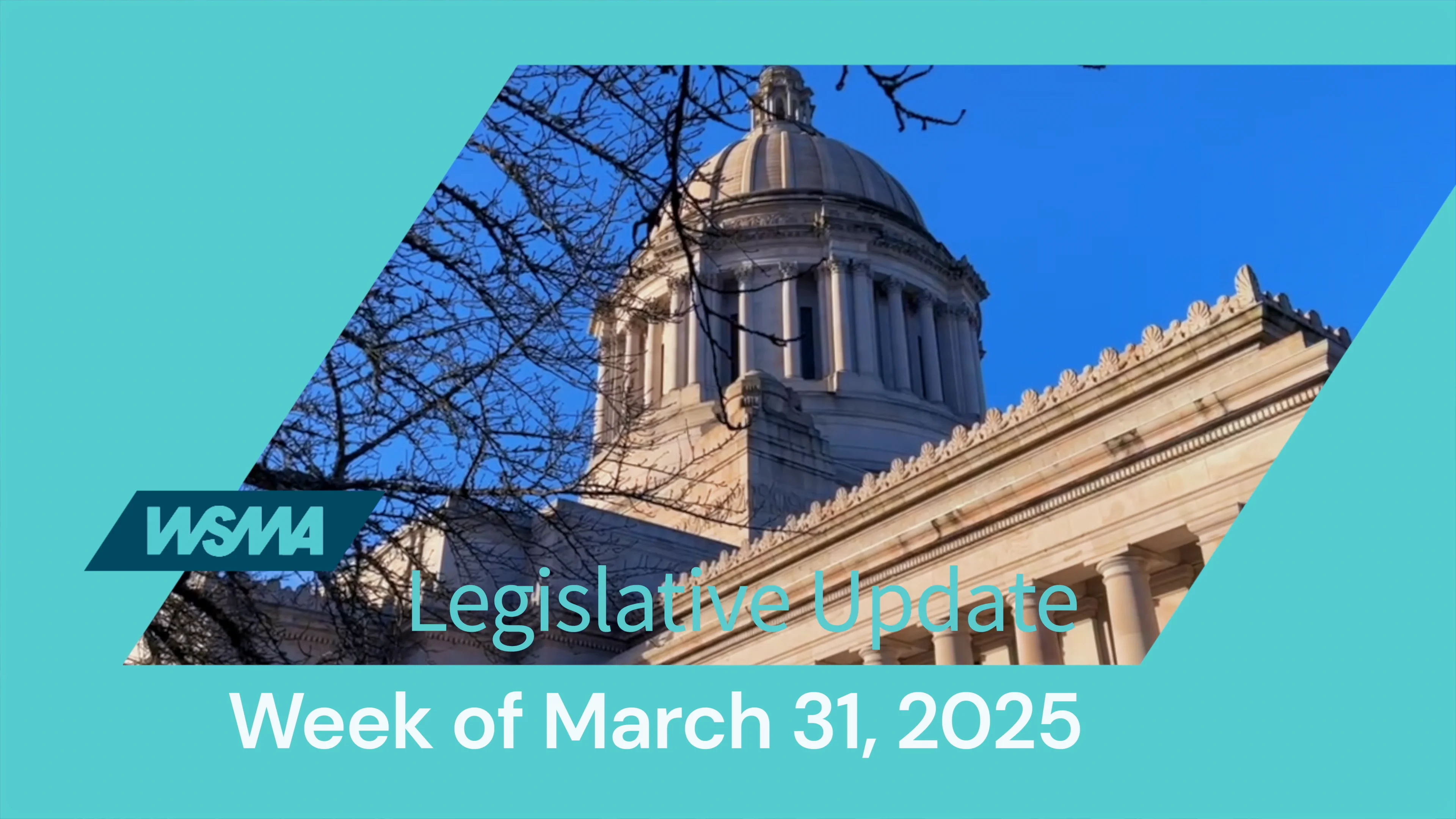 Legislative Update: March 31, 2025