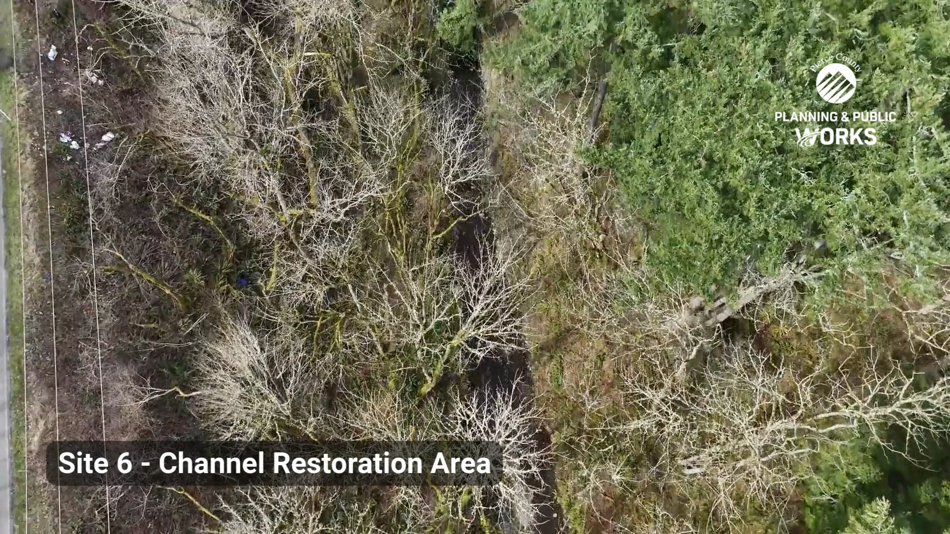 7. Site 6 Channel Restoration Area