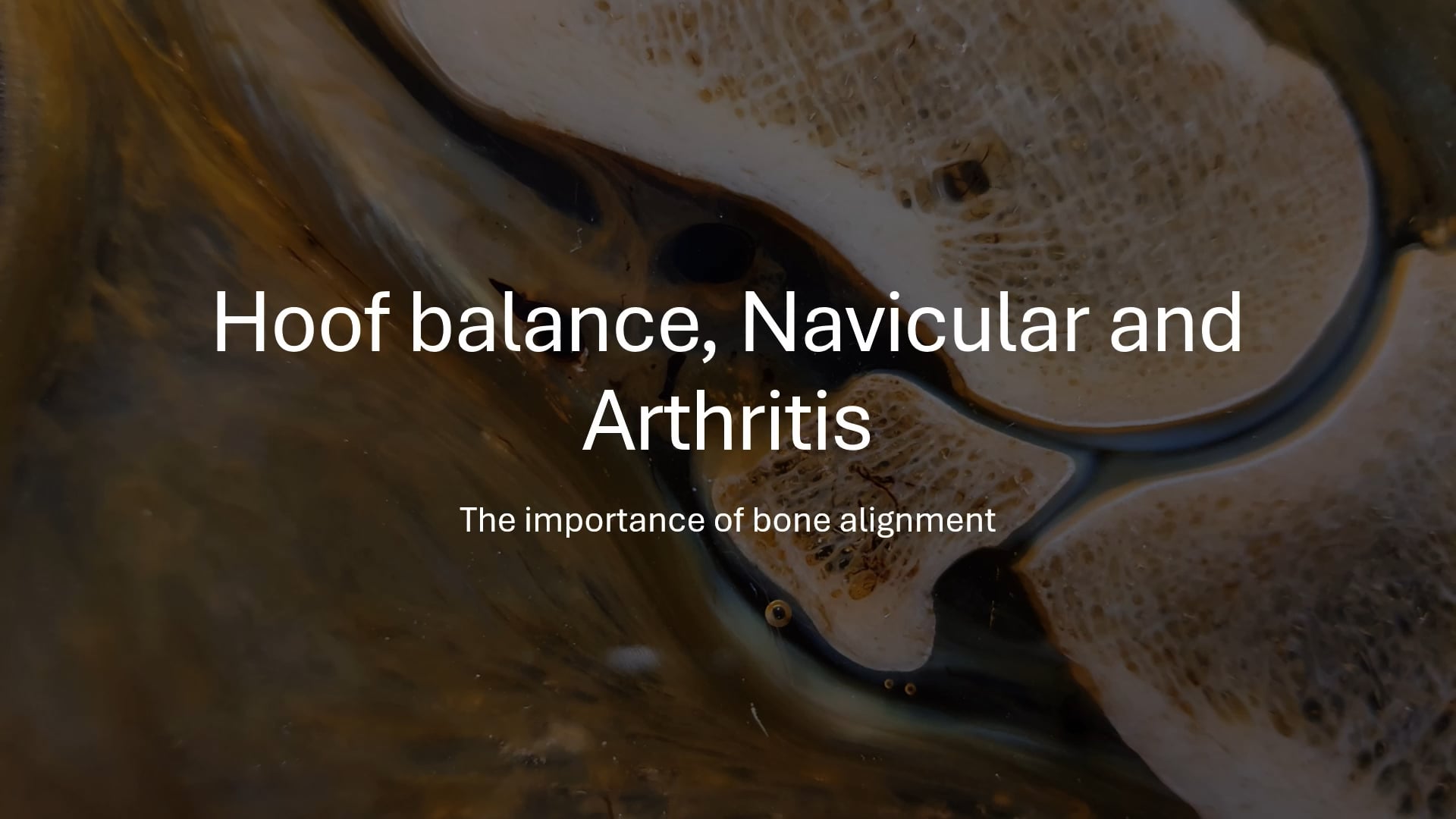 Hoof Balance, Navicular Syndrome, and Arthritis | Ridely