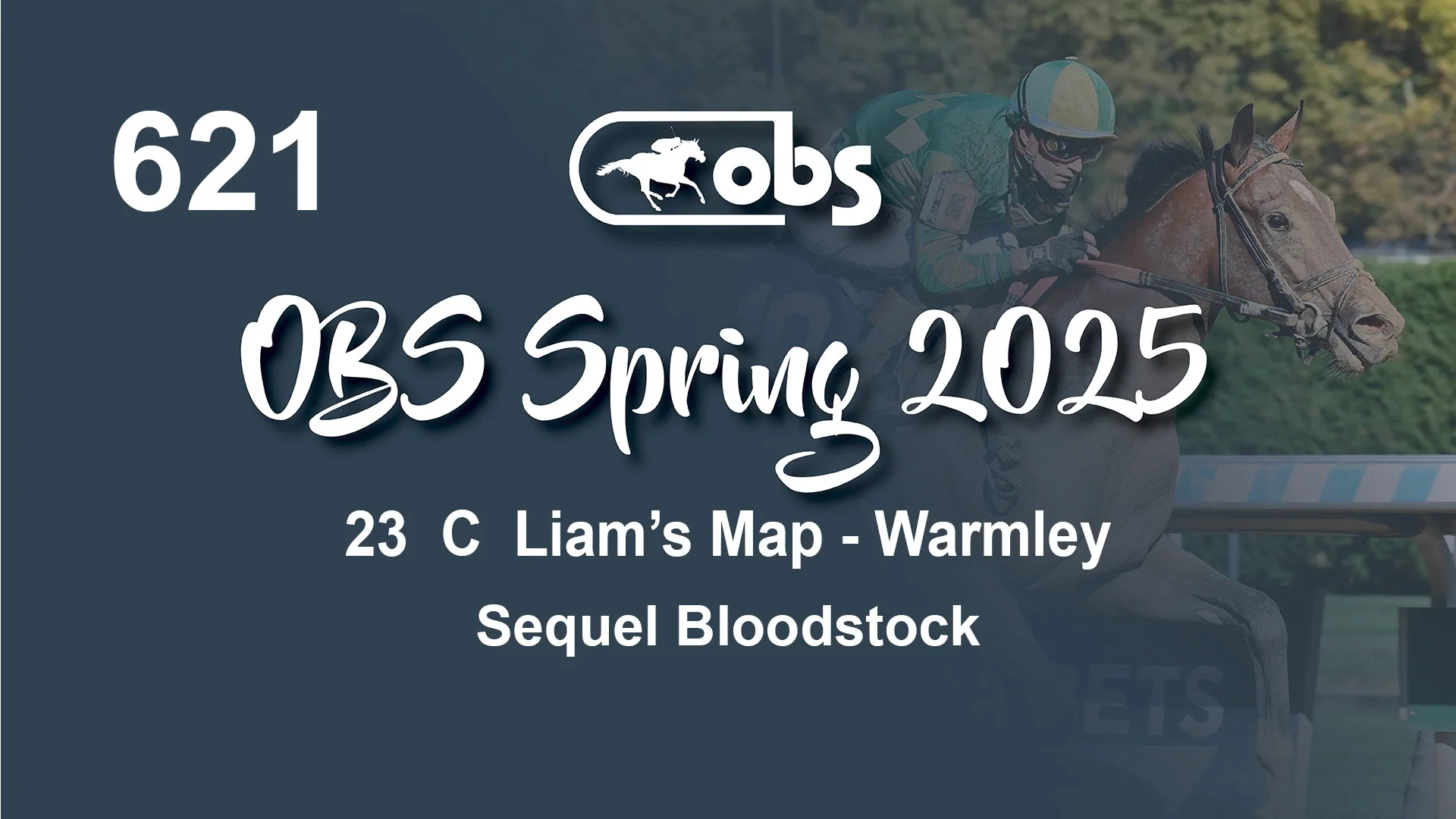 OBSAPR25, Hip 621, c. Liam's Map - Warmley 23