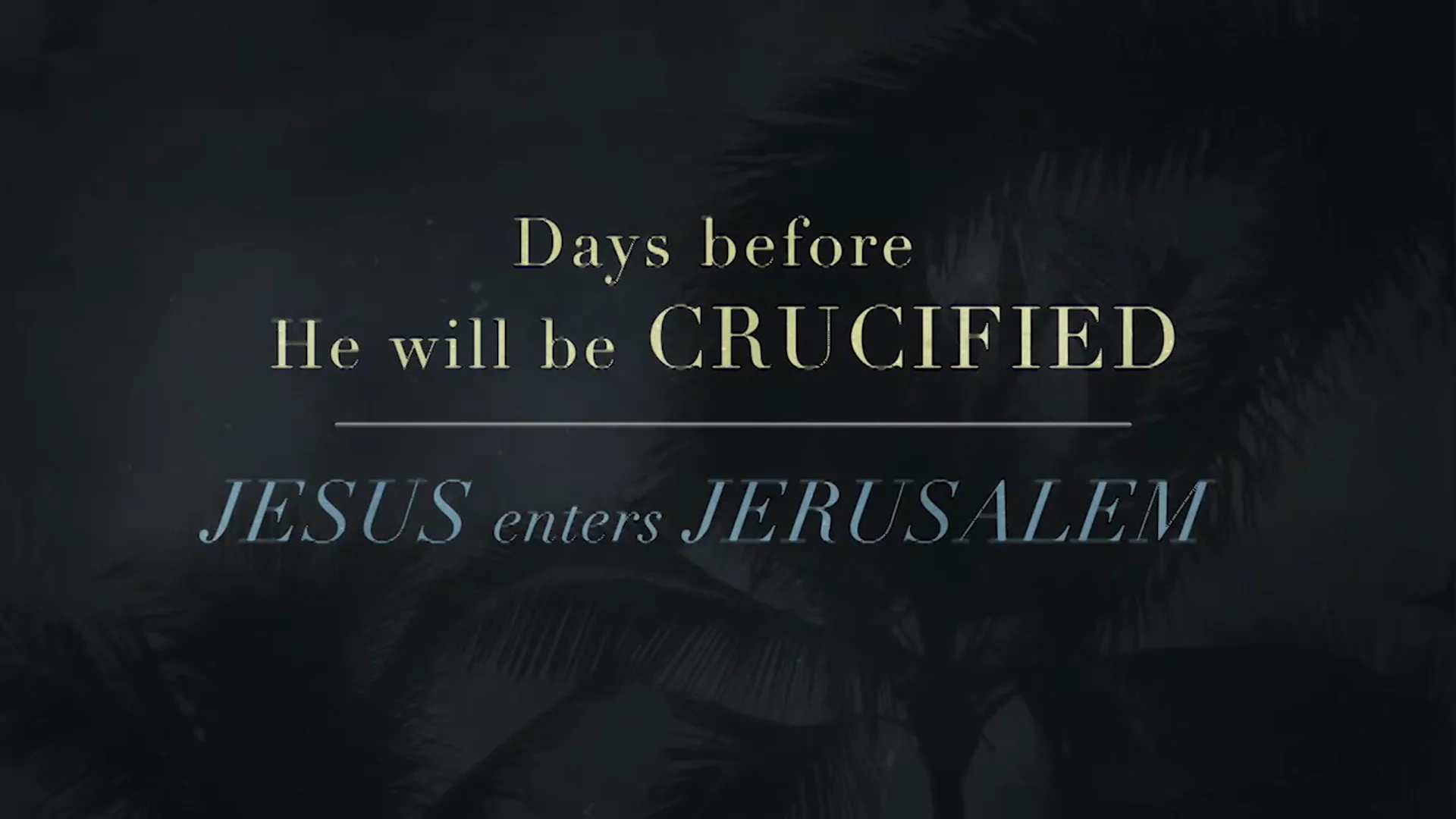 this_is_palm_sunday-HD 1080
