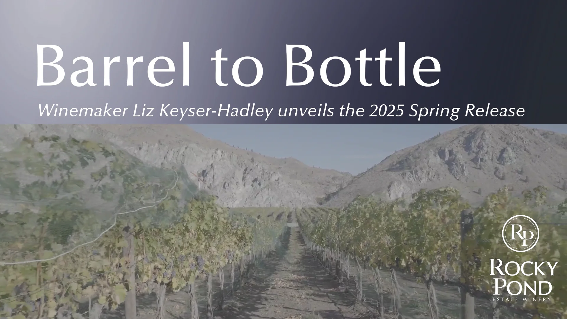 Spring Release Video