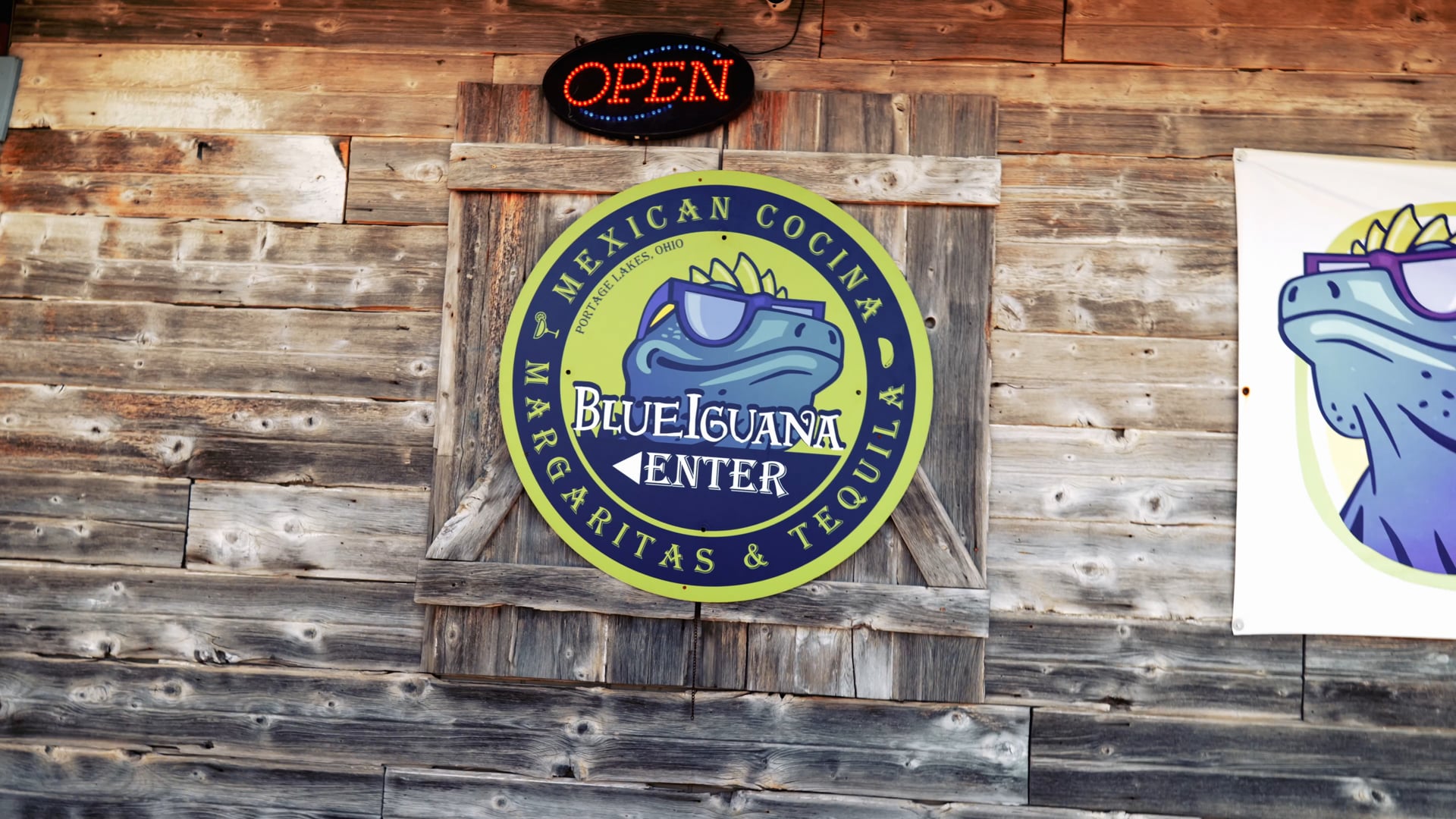 Blue Iguana