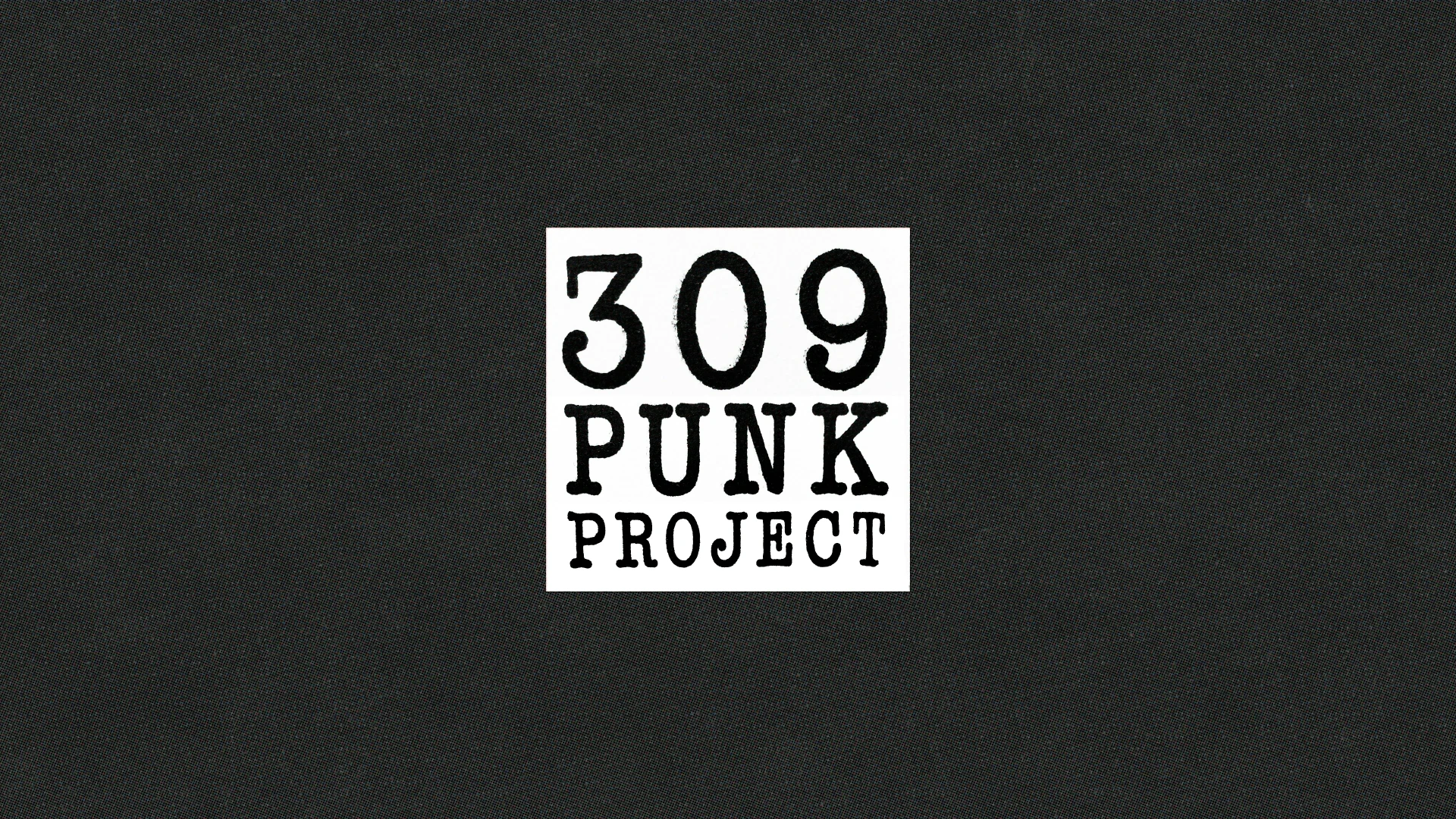 309 Punk Project