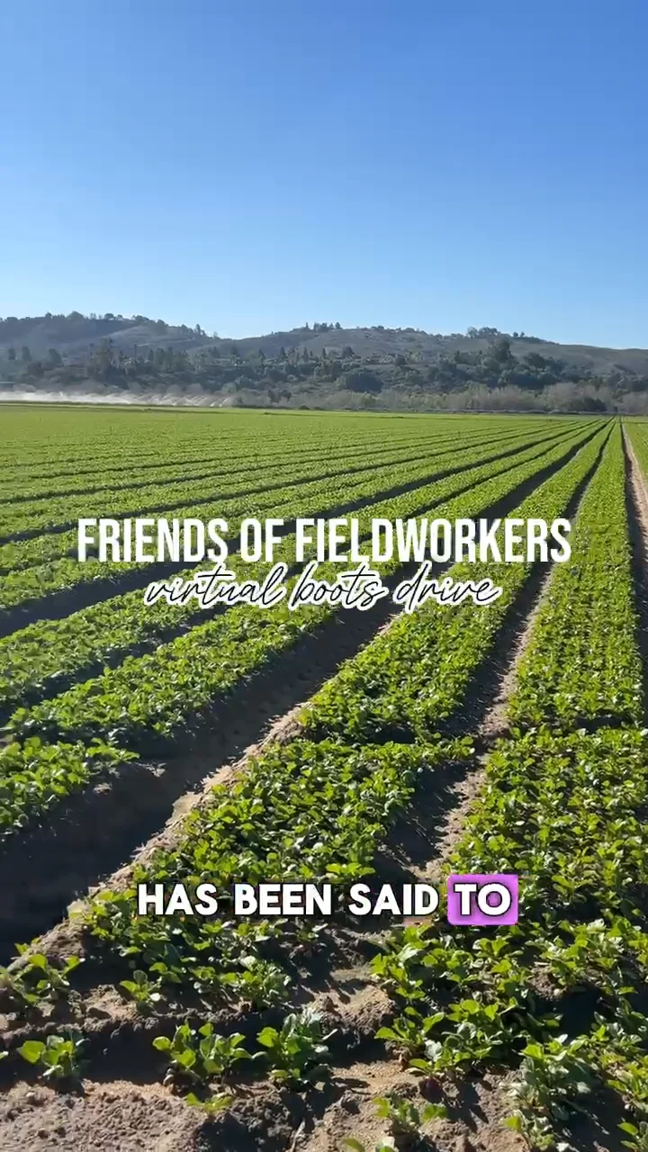 copy_D7F61E1D-35EA-4BE8-A1DA-F71423B38222