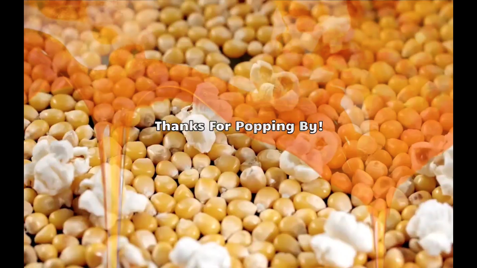 Delicious Gourmet Candied Flavored Popcorn | Specialty Popcorn