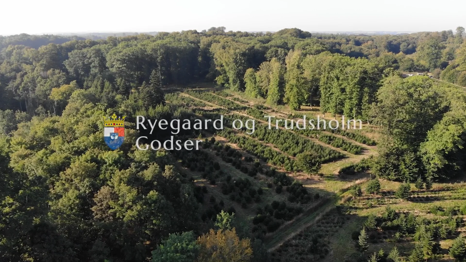 Ryegaard og Trudsholm Godser - Juletræsproduktion - Vi planter 2021