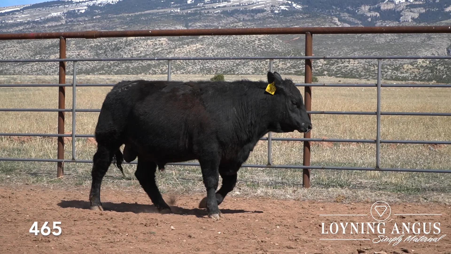 2025 Loyning - 465