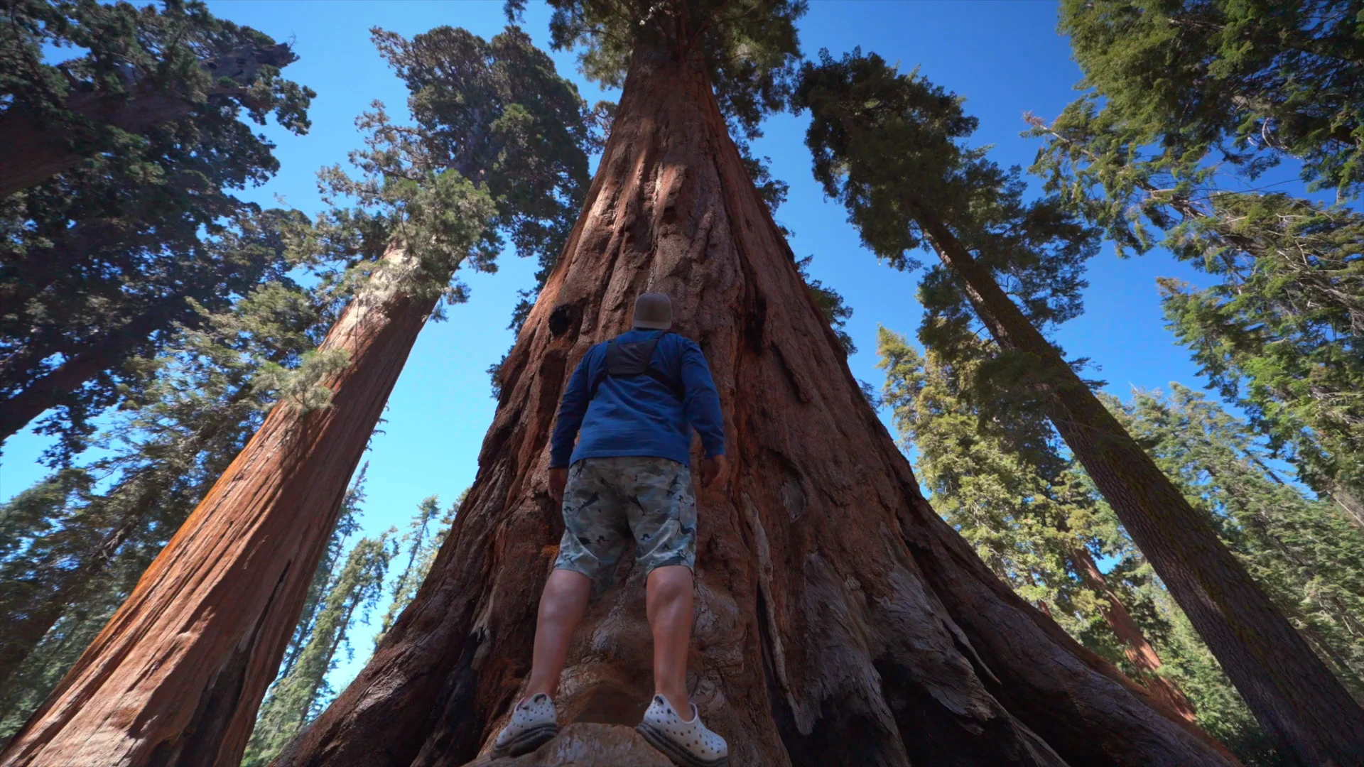 VISIT FRESNO DESTINATION JEFF CUT 60