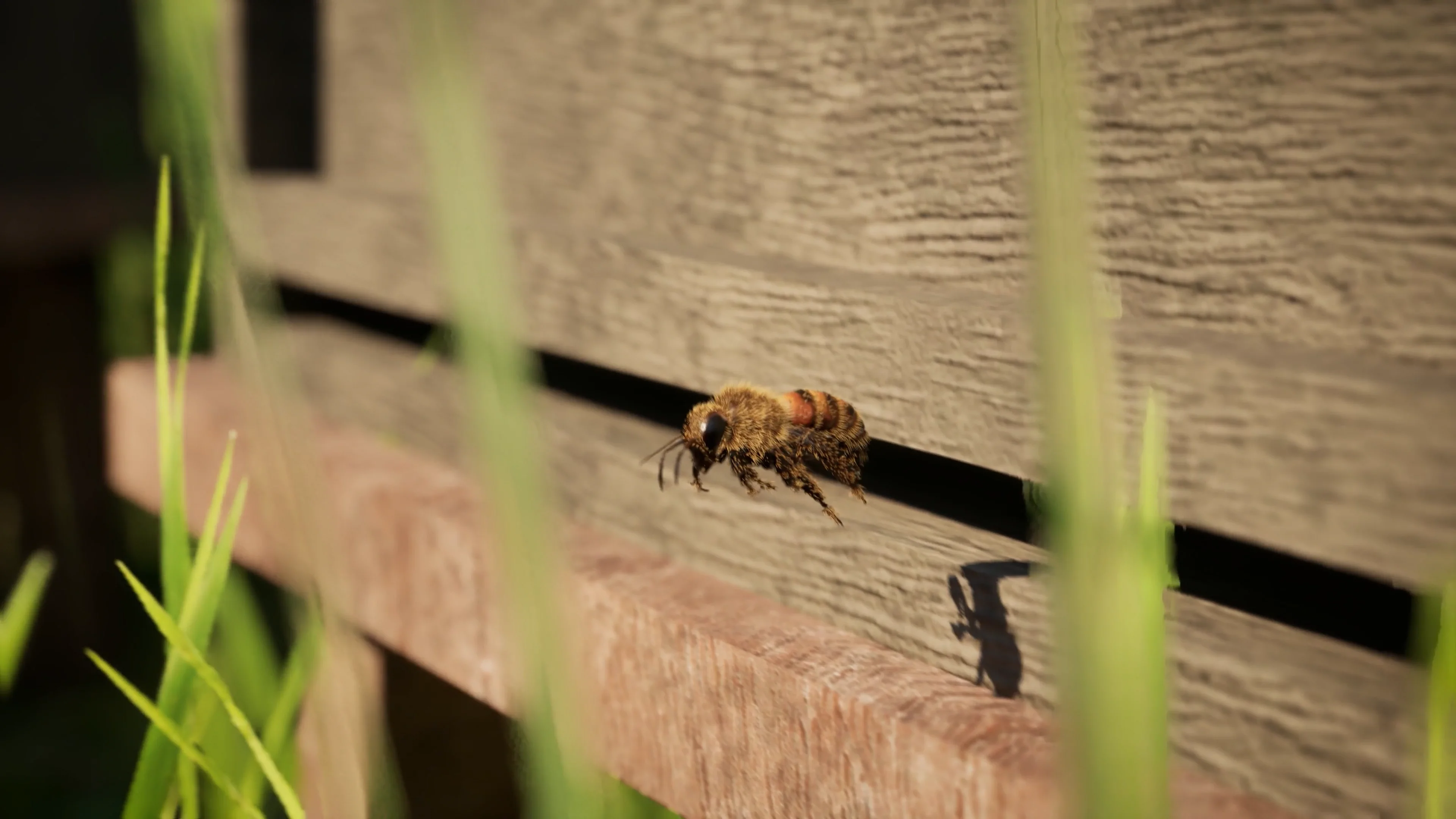 Meadow Project Trailer