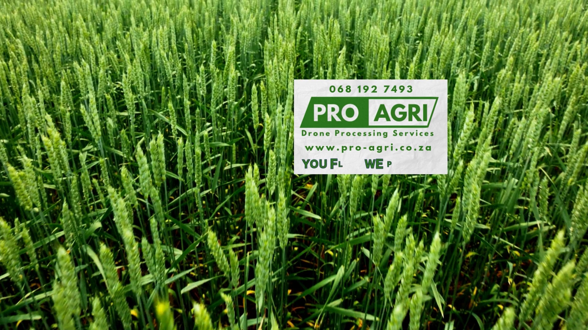 Pro-Agri Drone Processing Services