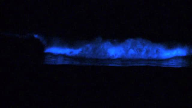 Red Tide Surfing San Diego 2011 Bioluminescence on Vimeo