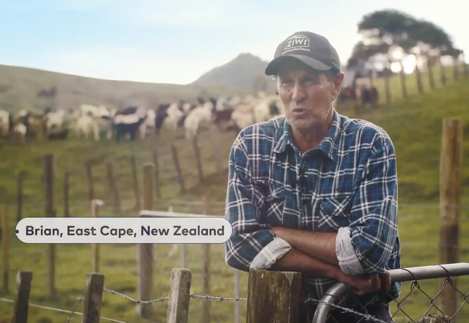 Brian Farmer - desktop Video